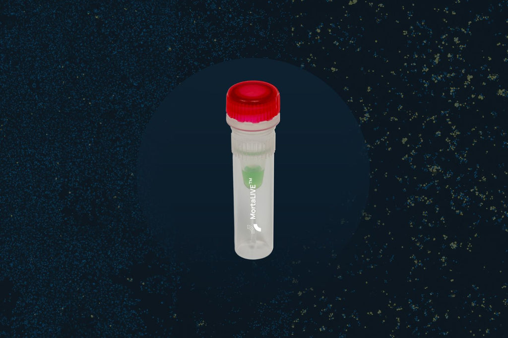 NucleoLIVE™ Non‑Toxic Nuclear Dye – Saguaro Bio