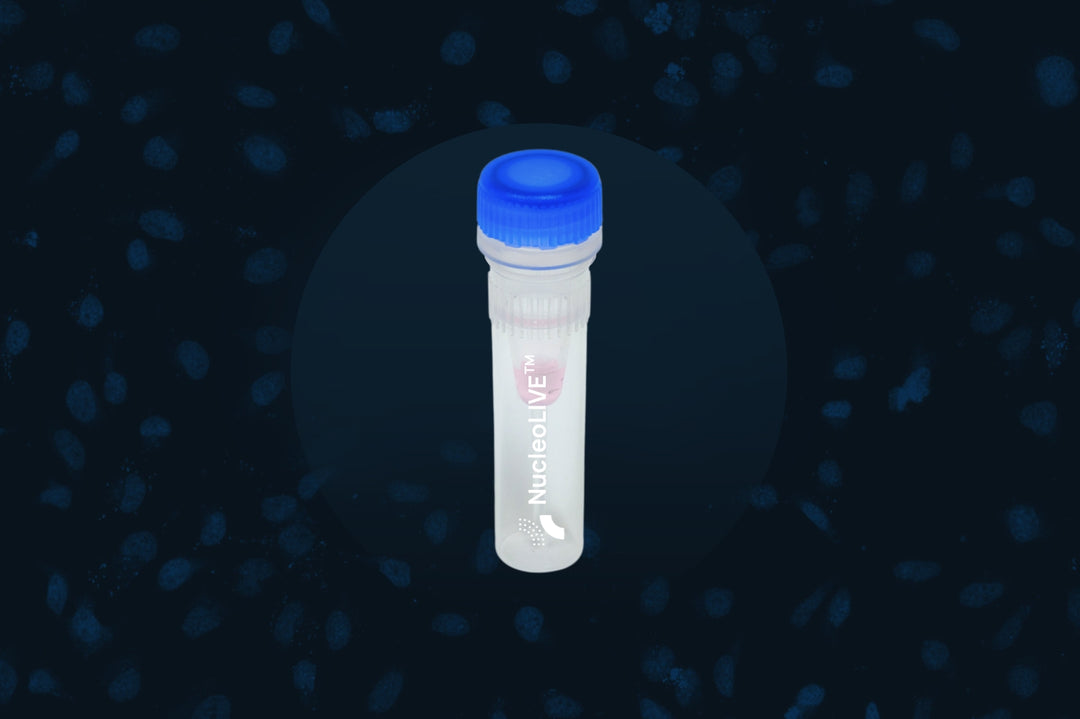 Non-Toxic Dyes for Live-Cell Imaging – Saguaro Bio