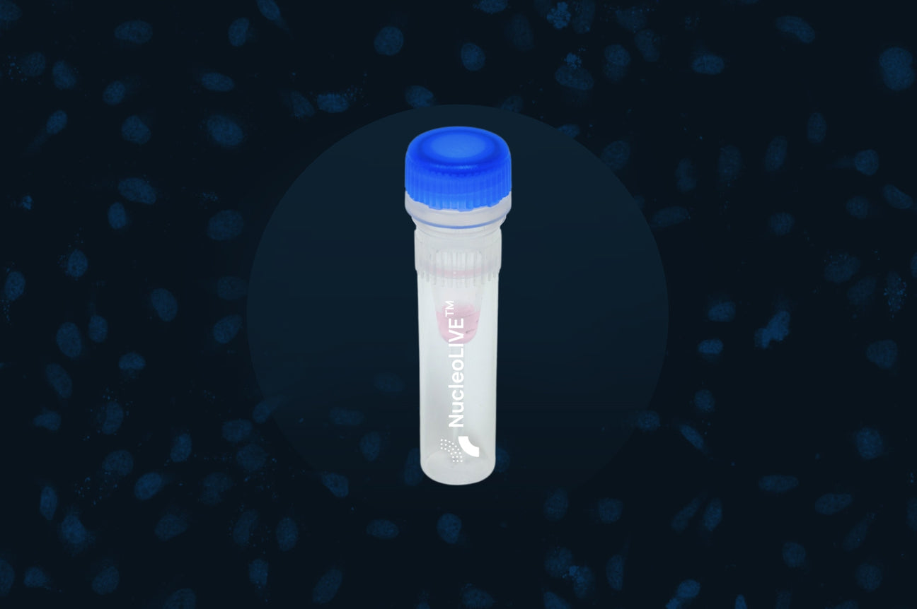 NucleoLIVE™ Non‑Toxic Nuclear Dye – Saguaro Bio