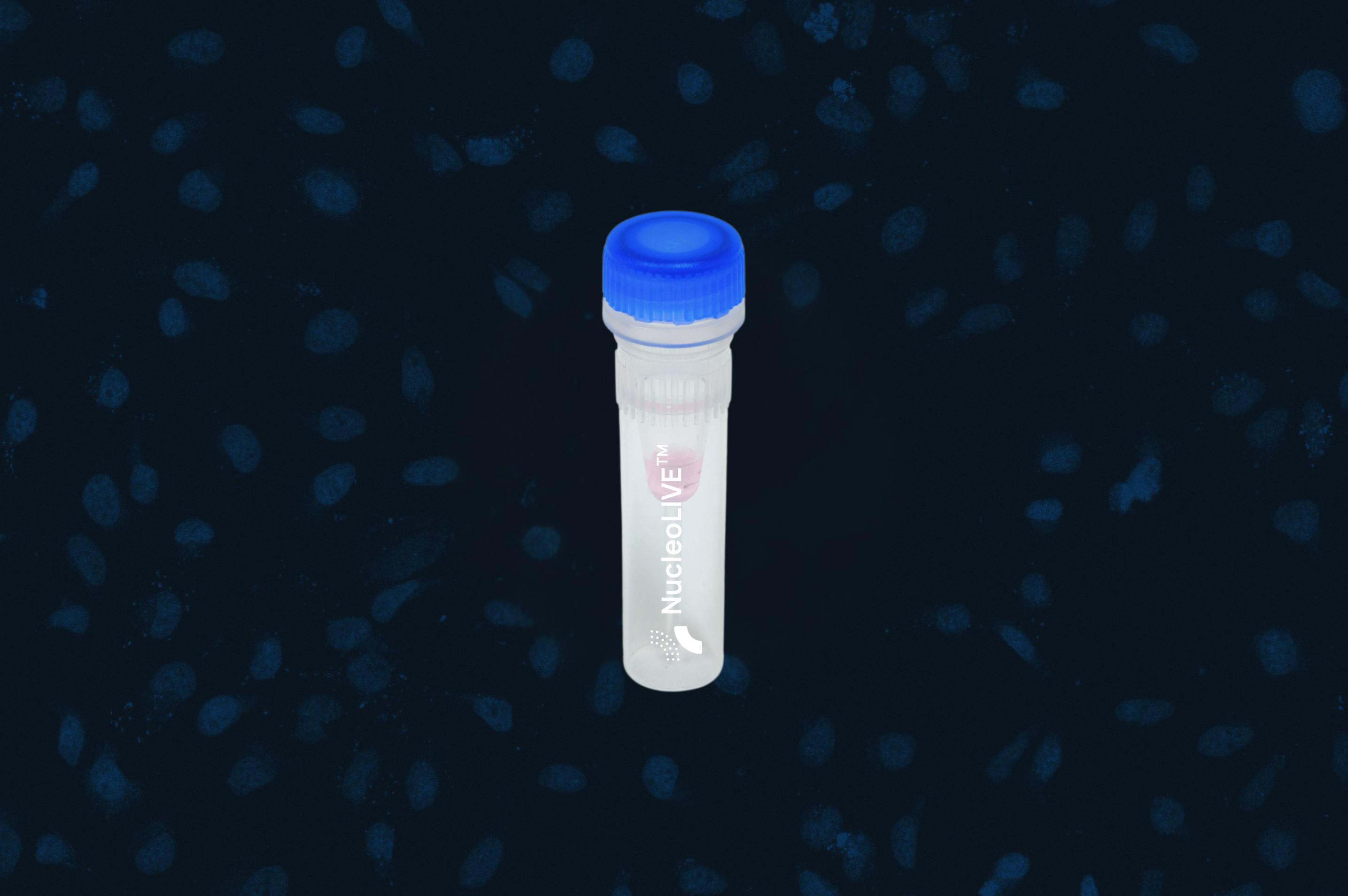 NucleoLIVE™ Non‑Toxic Nuclear Dye – Saguaro Biosciences