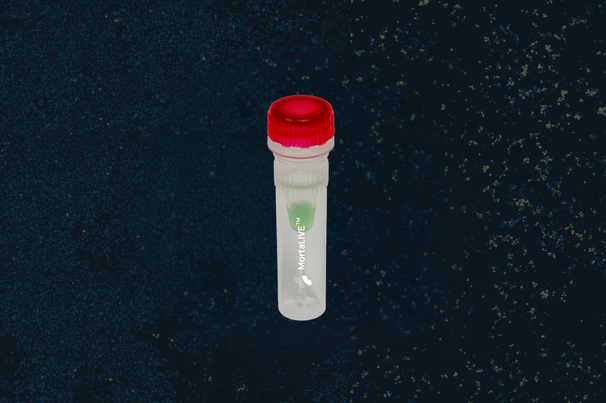 NucleoLIVE™ Non‑Toxic Nuclear Dye – Saguaro Biosciences
