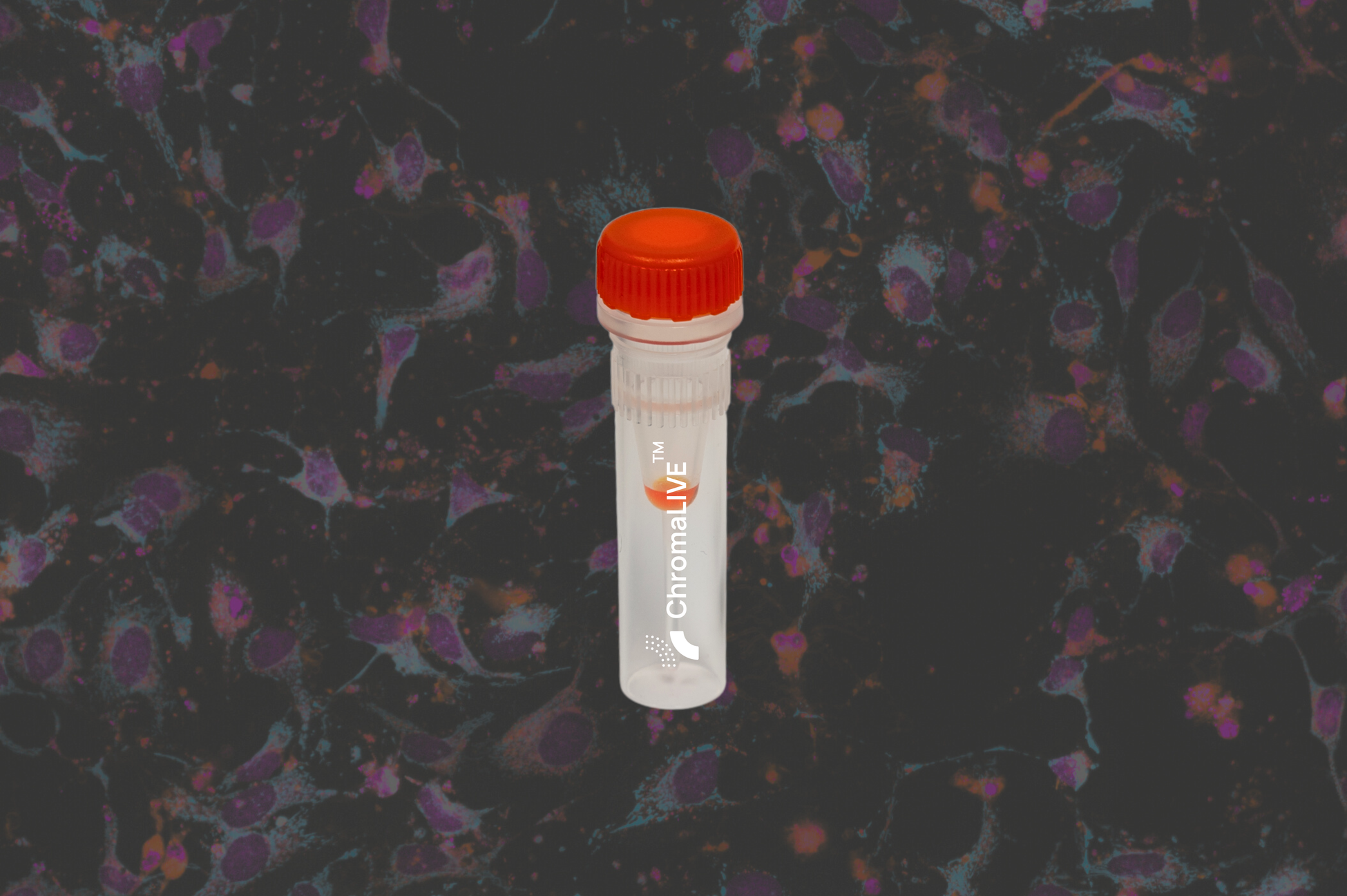NucleoLIVE™ Non‑Toxic Nuclear Dye – Saguaro Biosciences