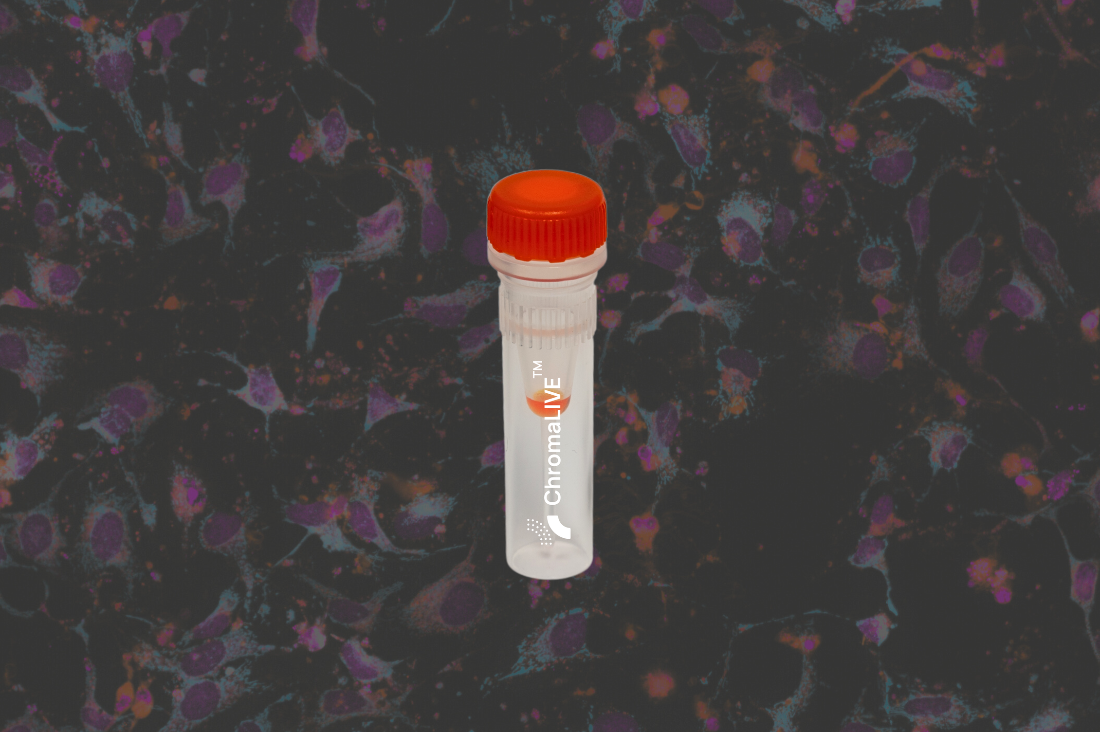 NucleoLIVE™ Non‑Toxic Nuclear Dye – Saguaro Biosciences