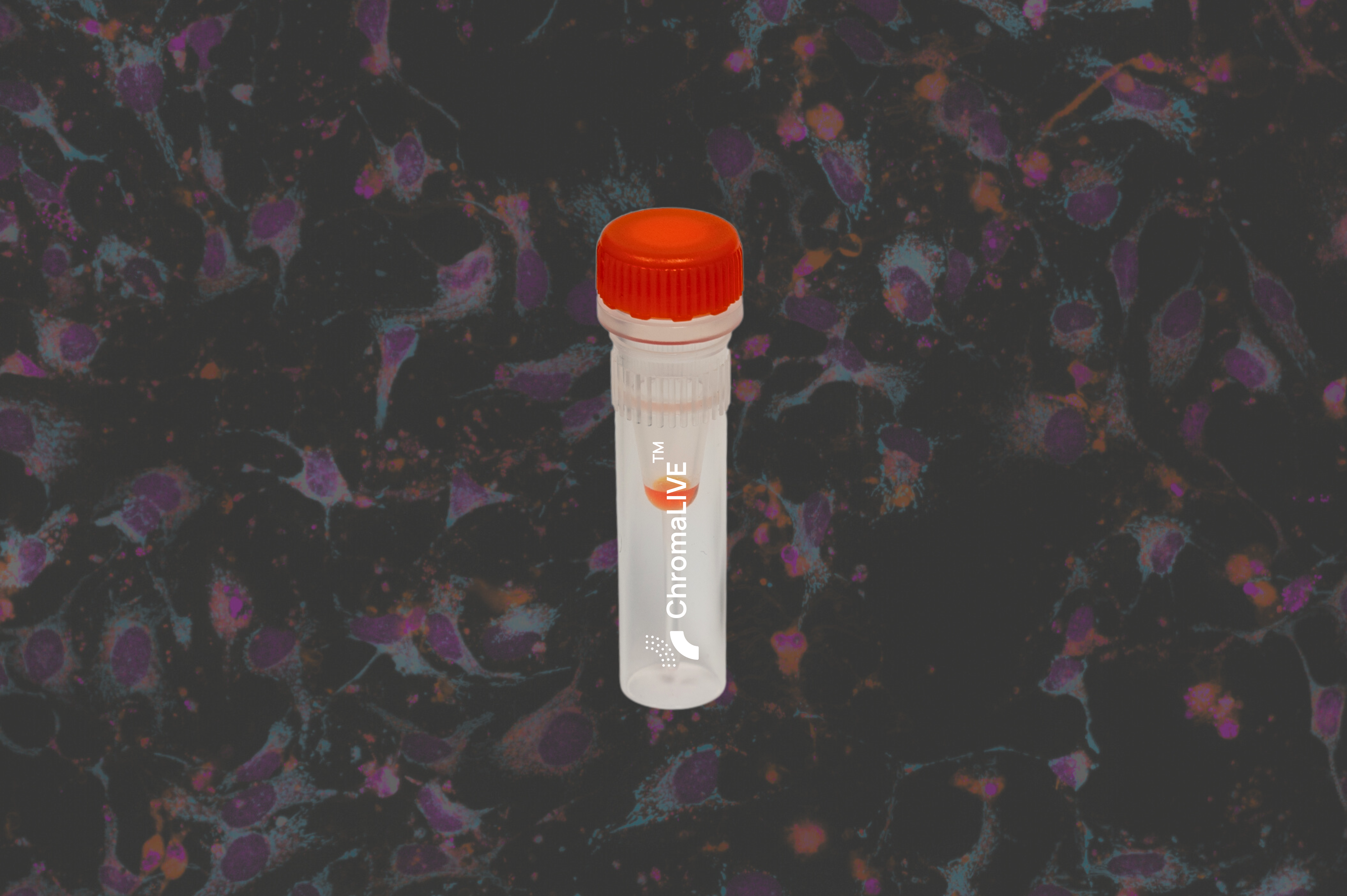 NucleoLIVE™ Non‑Toxic Nuclear Dye – Saguaro Biosciences